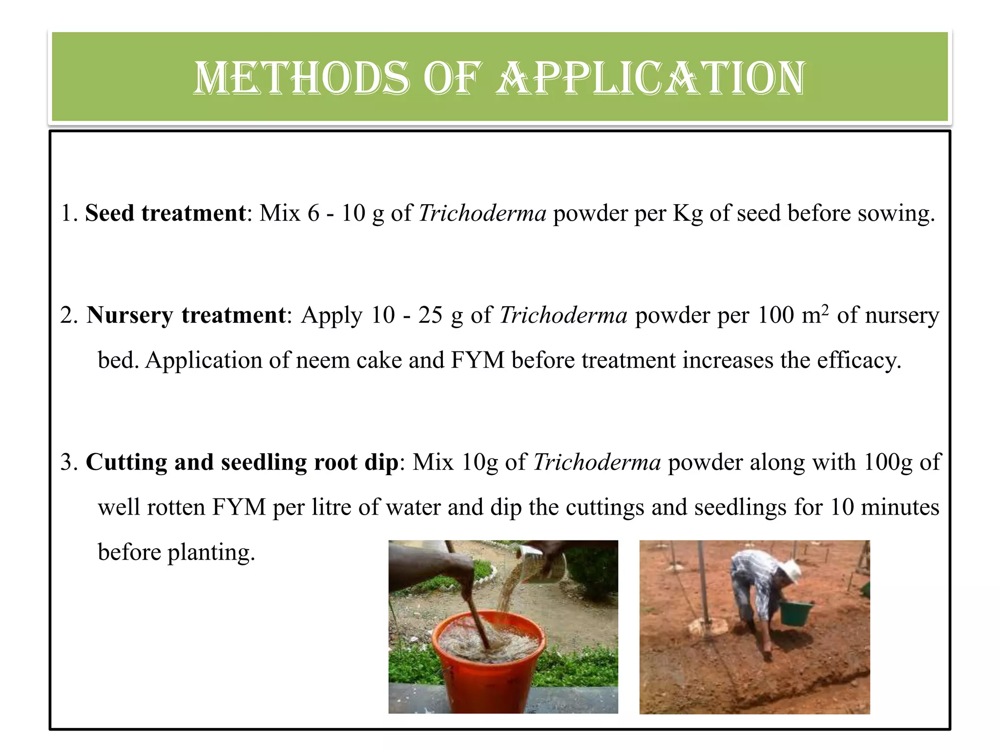 Trichoderma march 14th | PPTX