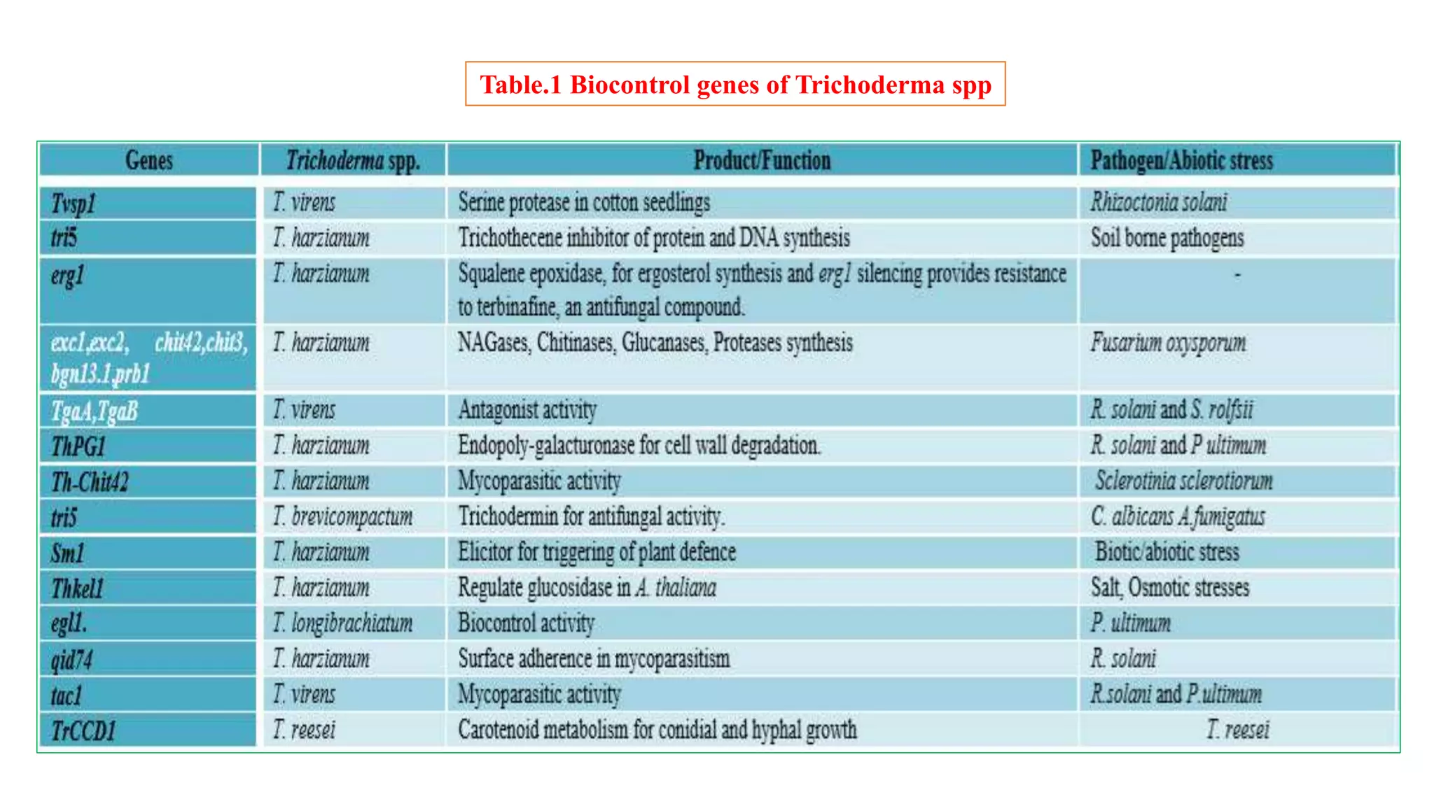 Trichoderma ppt | PPTX