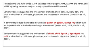 Trichoderma ppt | PPTX