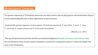 Trichoderma ppt | PPTX