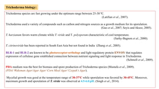 Trichoderma ppt | PPTX