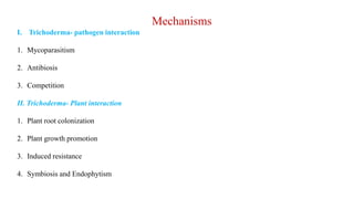 Trichoderma ppt | PPTX