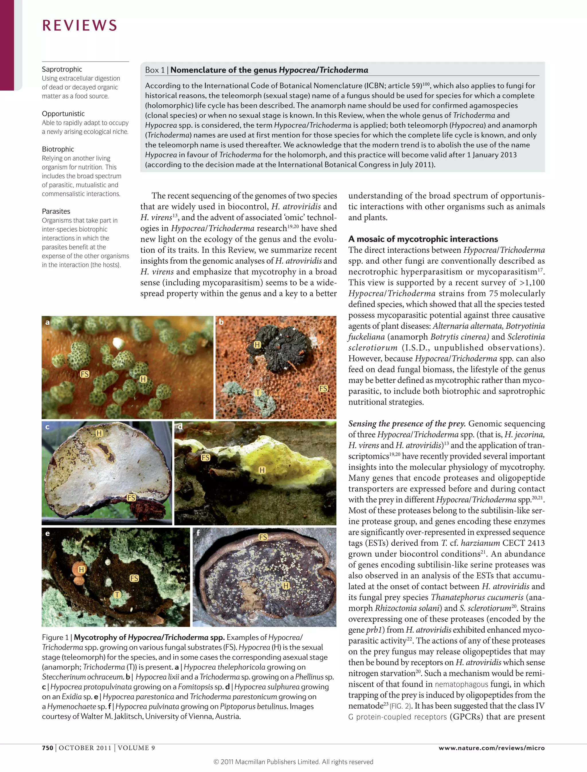 Trichoderma review | PDF