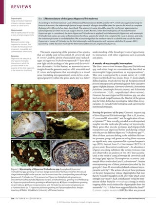 Trichoderma review | PDF