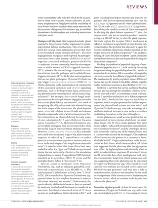 Trichoderma review | PDF