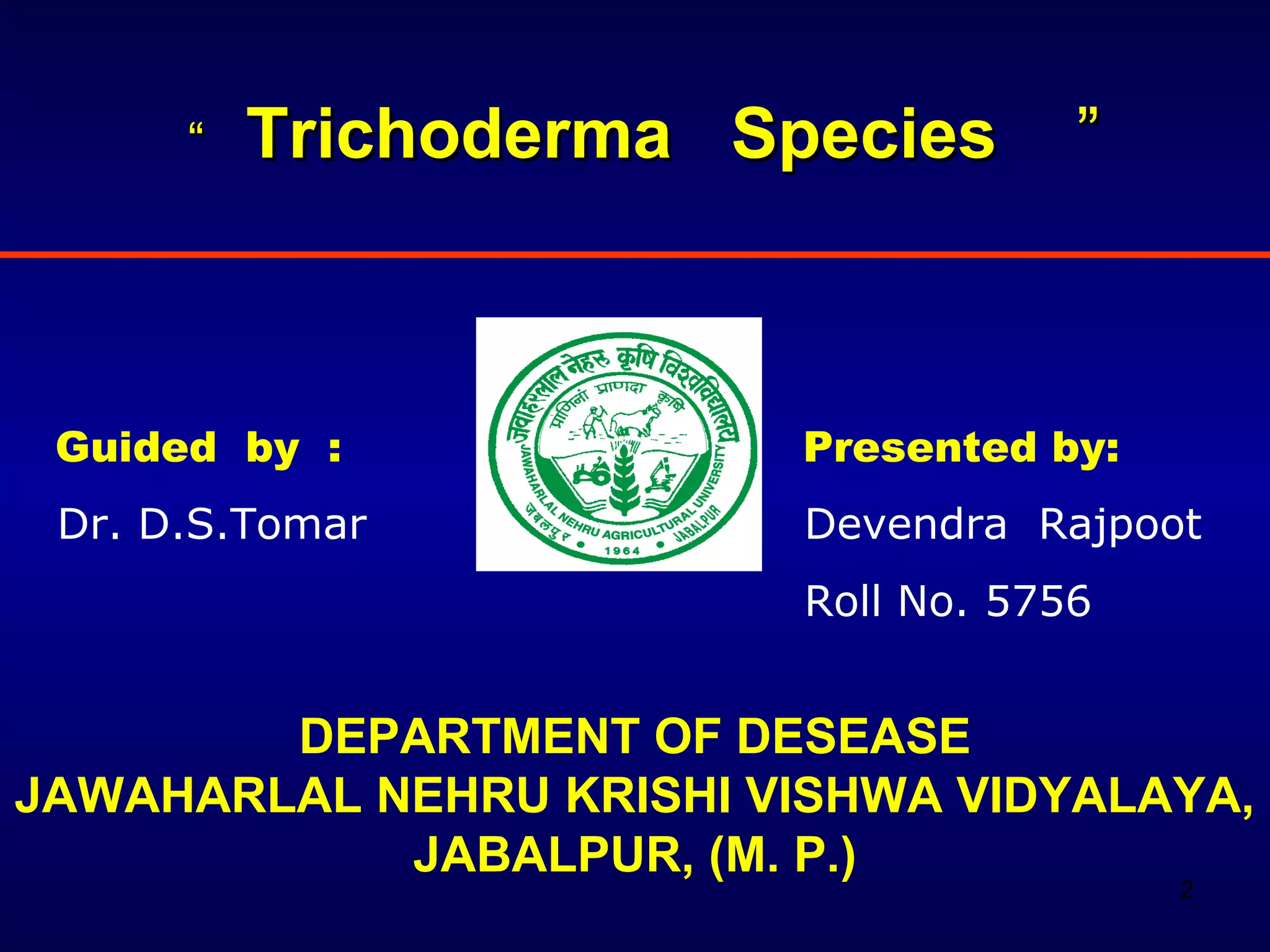 Trichoderma species | PPT