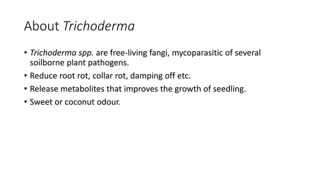 Mass multiplication of a Biofertilizer- Trichoderma viride | PPTX