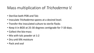 Mass multiplication of a Biofertilizer- Trichoderma viride | PPTX