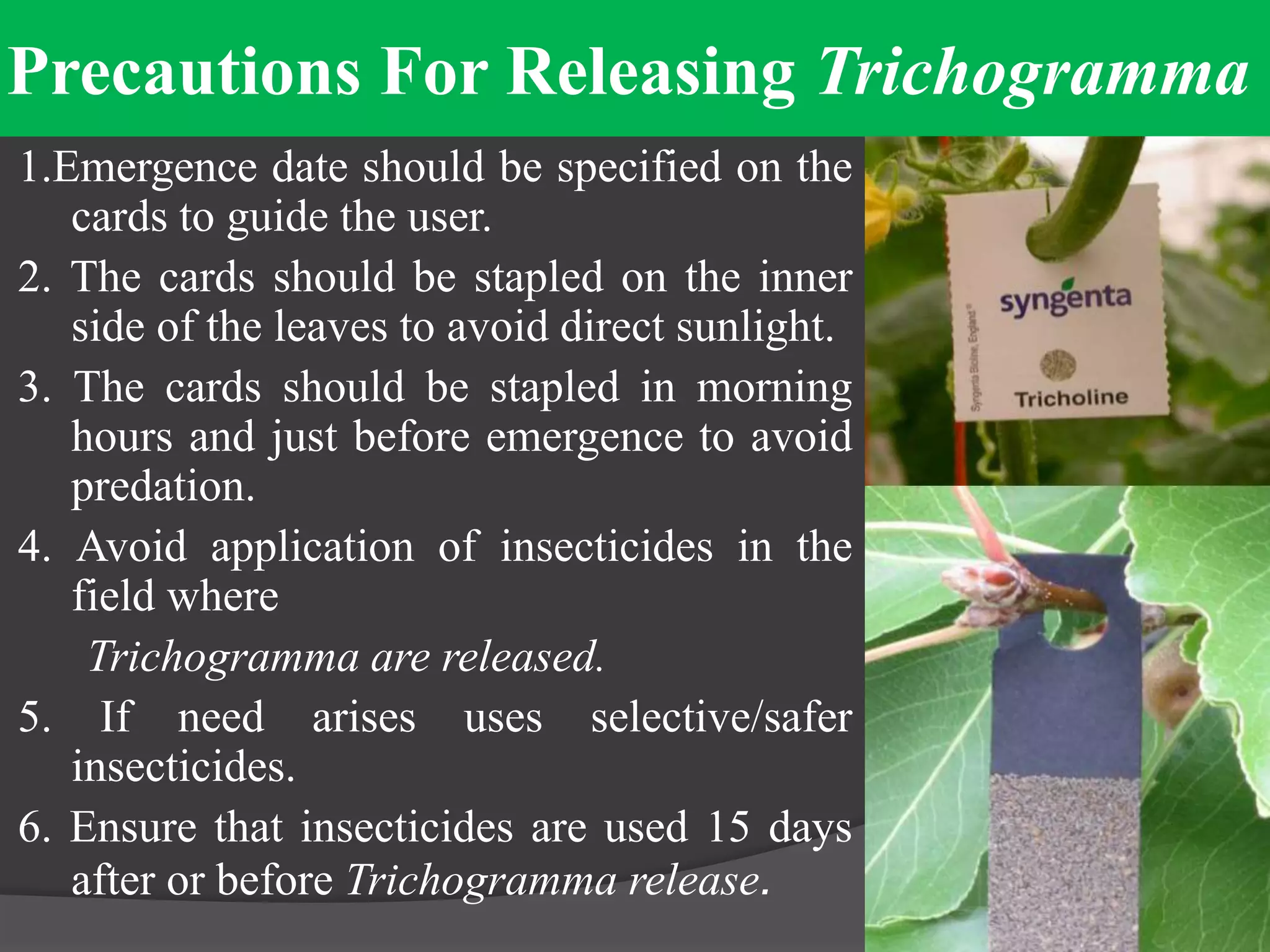 Trichogramma | PPTX