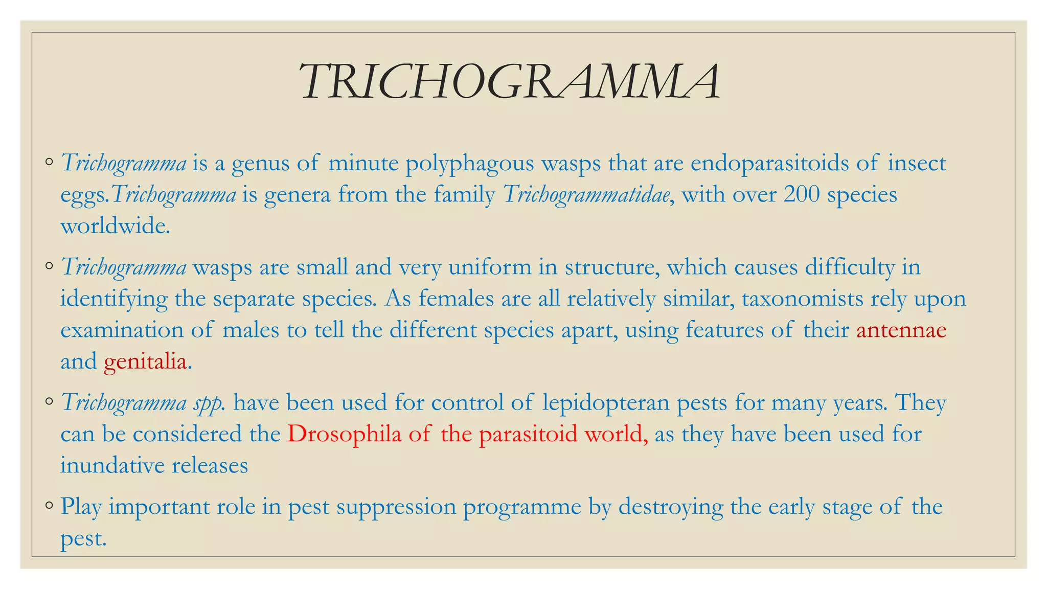 TRICHOGRAMMA.pptx