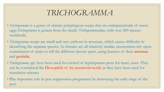 TRICHOGRAMMA.pptx | Beekeeping | Hobbies & Interests