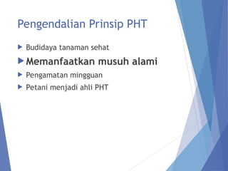 Bumbung konservasi untuk pengendalian penggerek batang.ppt