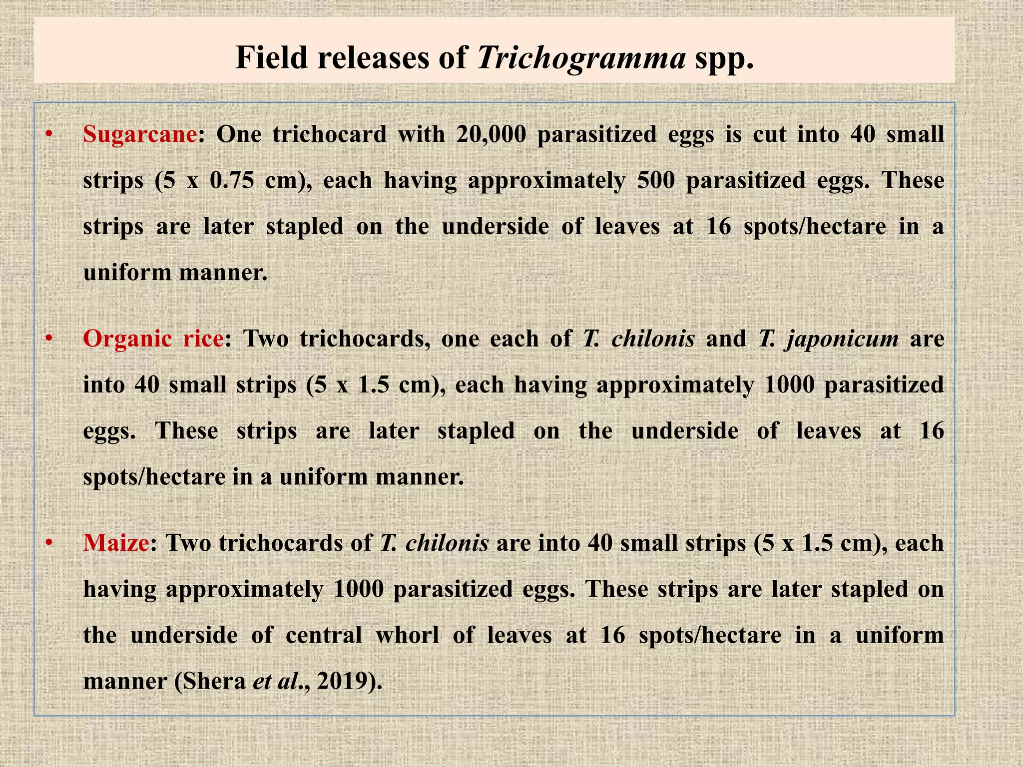 TRICHOGRAMMATIDS IN BIOLOGICAL CONTROL OF INSECT PESTS.pptx