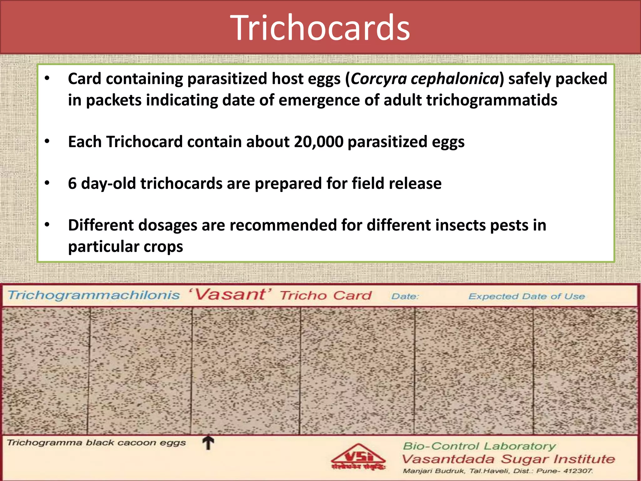 TRICHOGRAMMATIDS IN BIOLOGICAL CONTROL OF INSECT PESTS.pptx