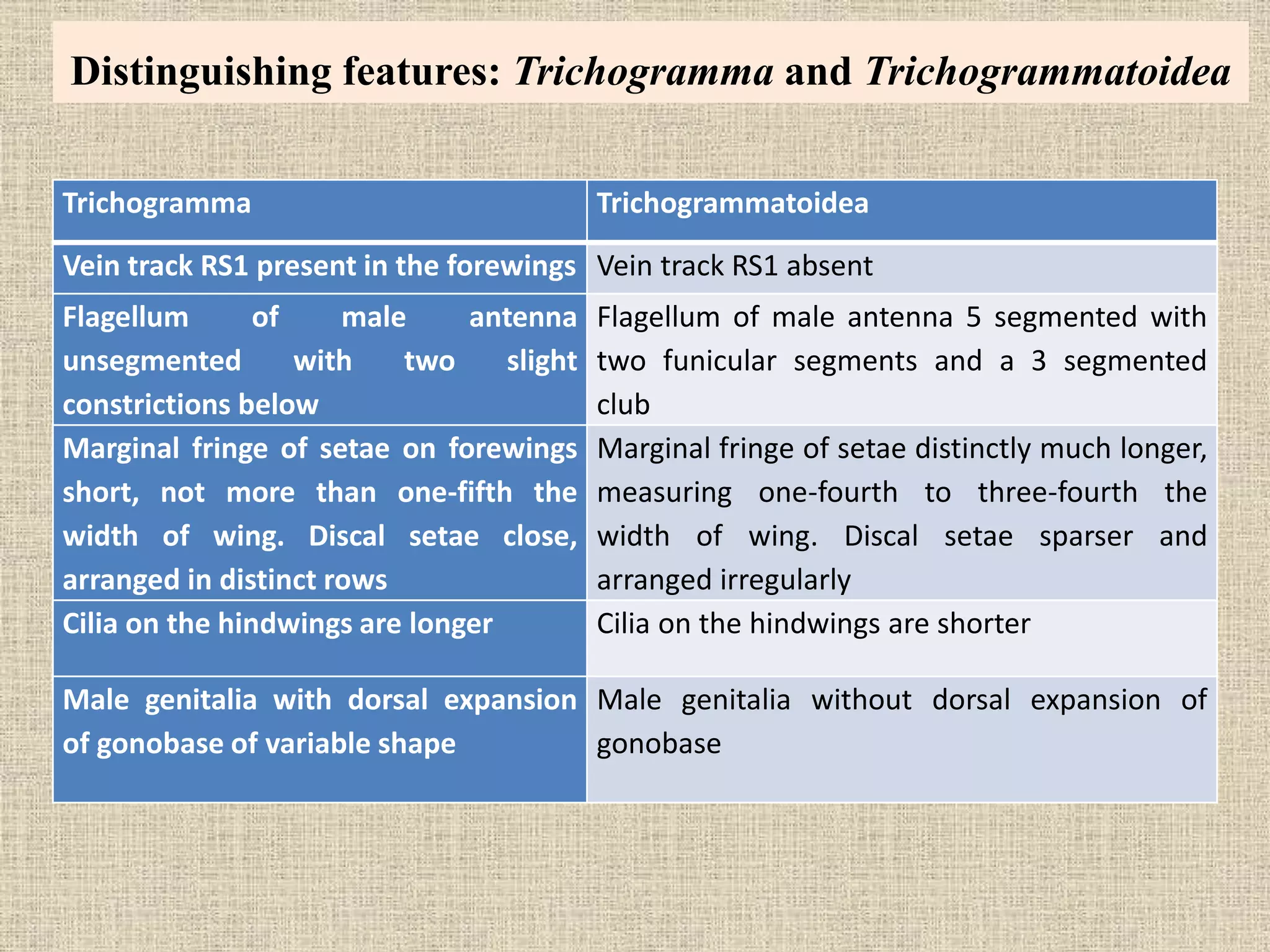 TRICHOGRAMMATIDS IN BIOLOGICAL CONTROL OF INSECT PESTS.pptx
