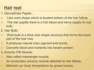 Trichology | PPTX