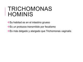 Trichomonas | PPTX