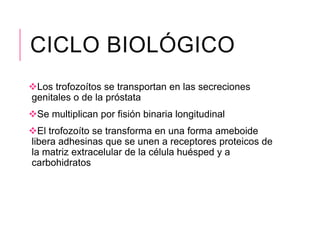 Trichomonas | PPTX