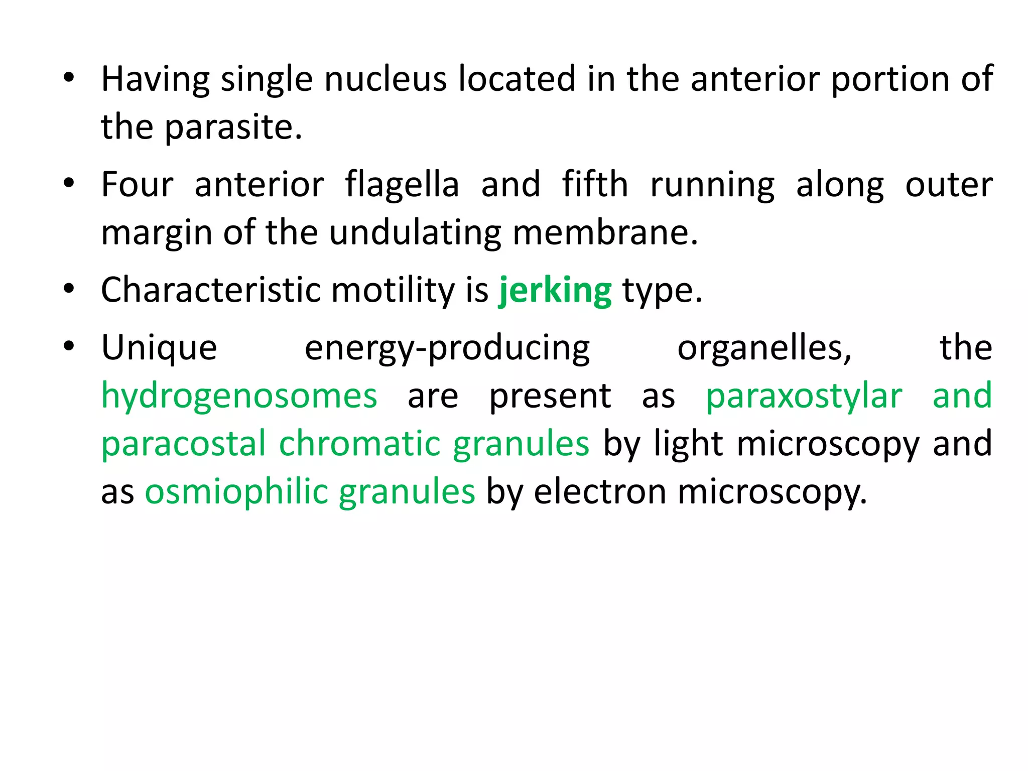 Trichomonas & Pneumocystis | PPT