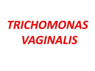 Trichomonas & Pneumocystis | PPT