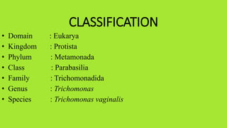 Trichomonas | PPTX