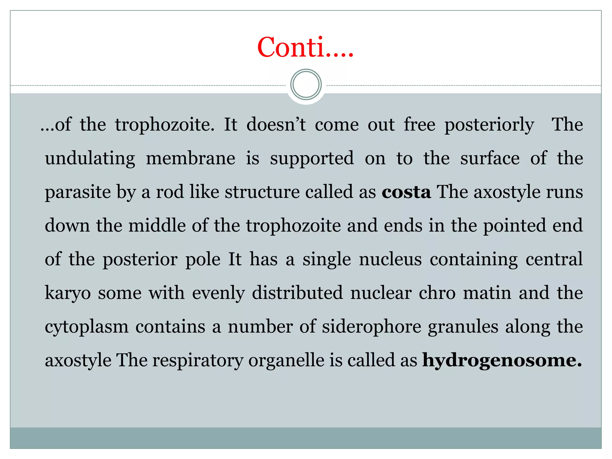 TRICHOMONAS. lecture 6 chapter 3.pptx