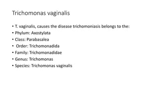 TRICHOMONAS.pptx