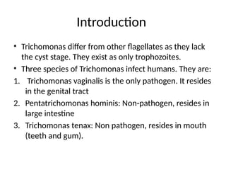 TRICHOMONAS SPECIES ( PARASITOLOGY) PPTx | PPTX