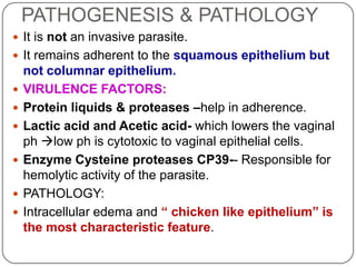 Trichomonas jp | PPTX