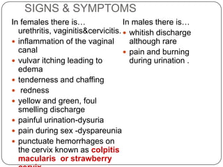 Trichomonas jp | PPTX
