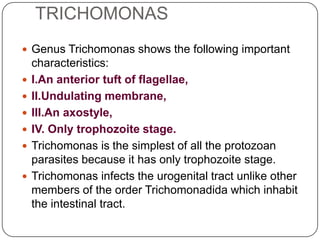 Trichomonas jp | PPTX