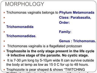 Trichomonas jp | PPTX
