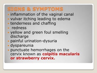 Trichomonas | PPTX