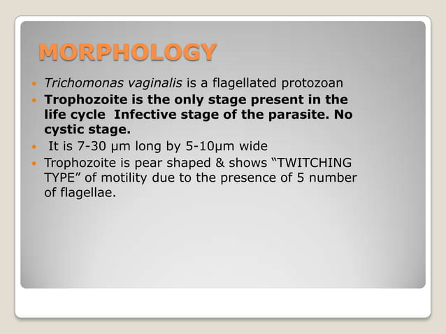 Trichomonas | PPTX