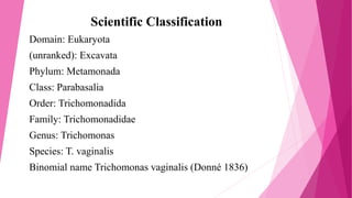 Trichomonas vaginalis | PPTX
