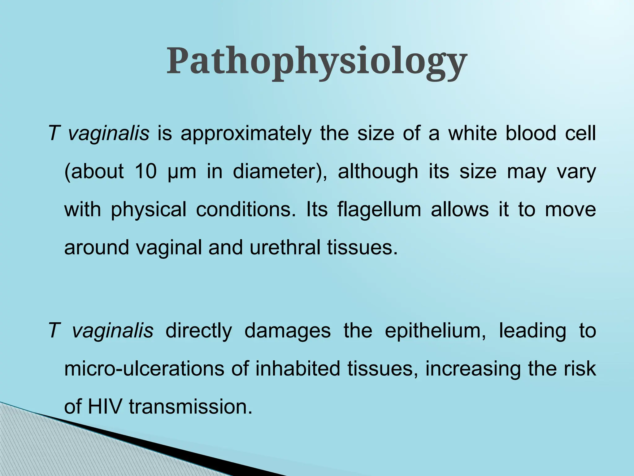 Trichomonas vaginalis.pptx power point presentation | PPTX