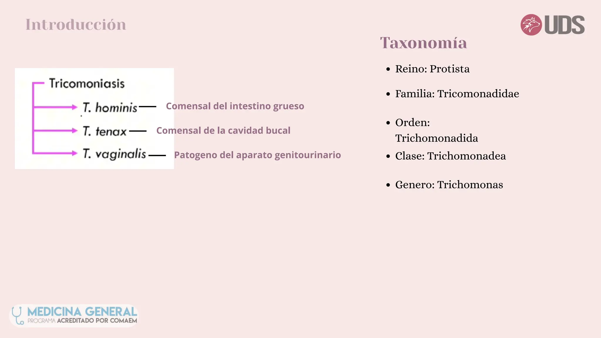Trichomonas Vaginalis, parasitologia medica | PDF