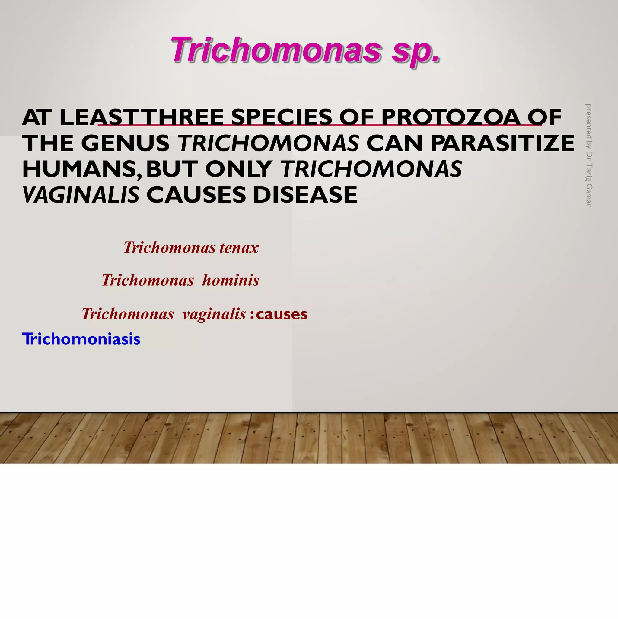 Trichomonas vaginalis | PDF