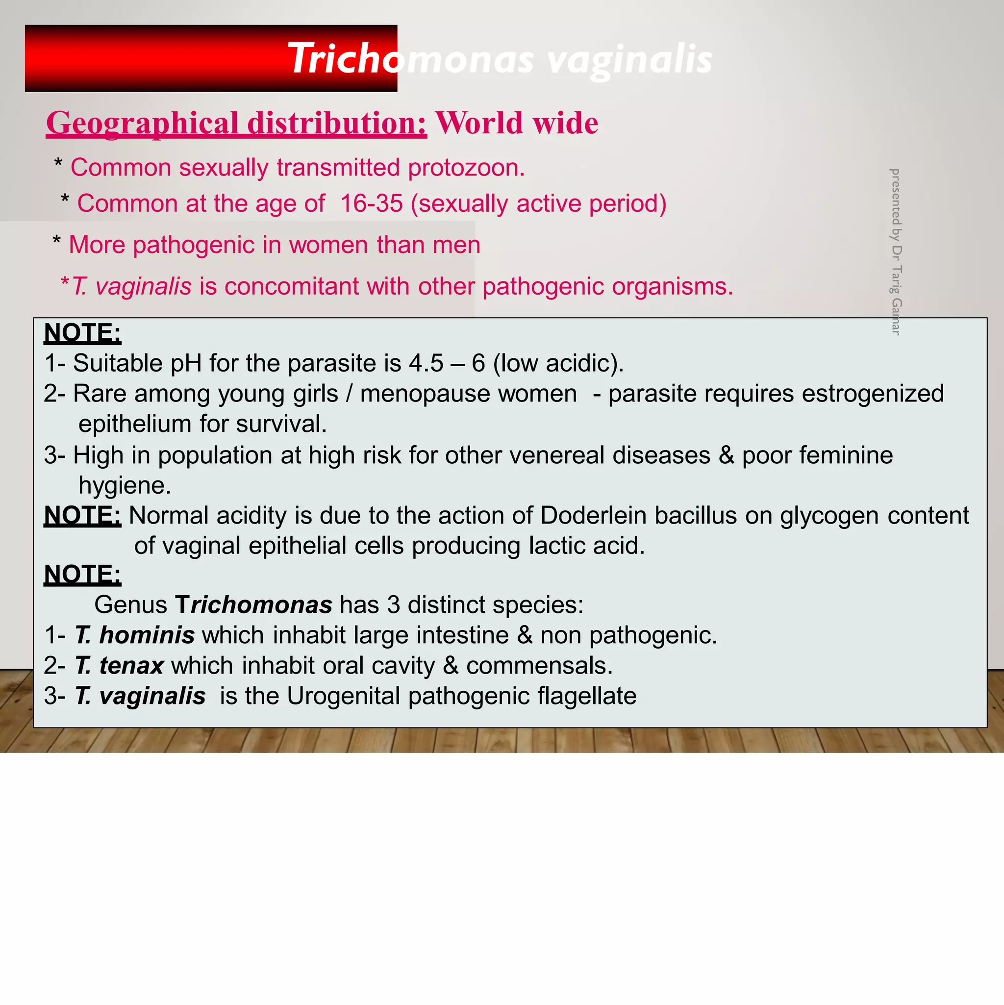 Trichomonas vaginalis | PDF
