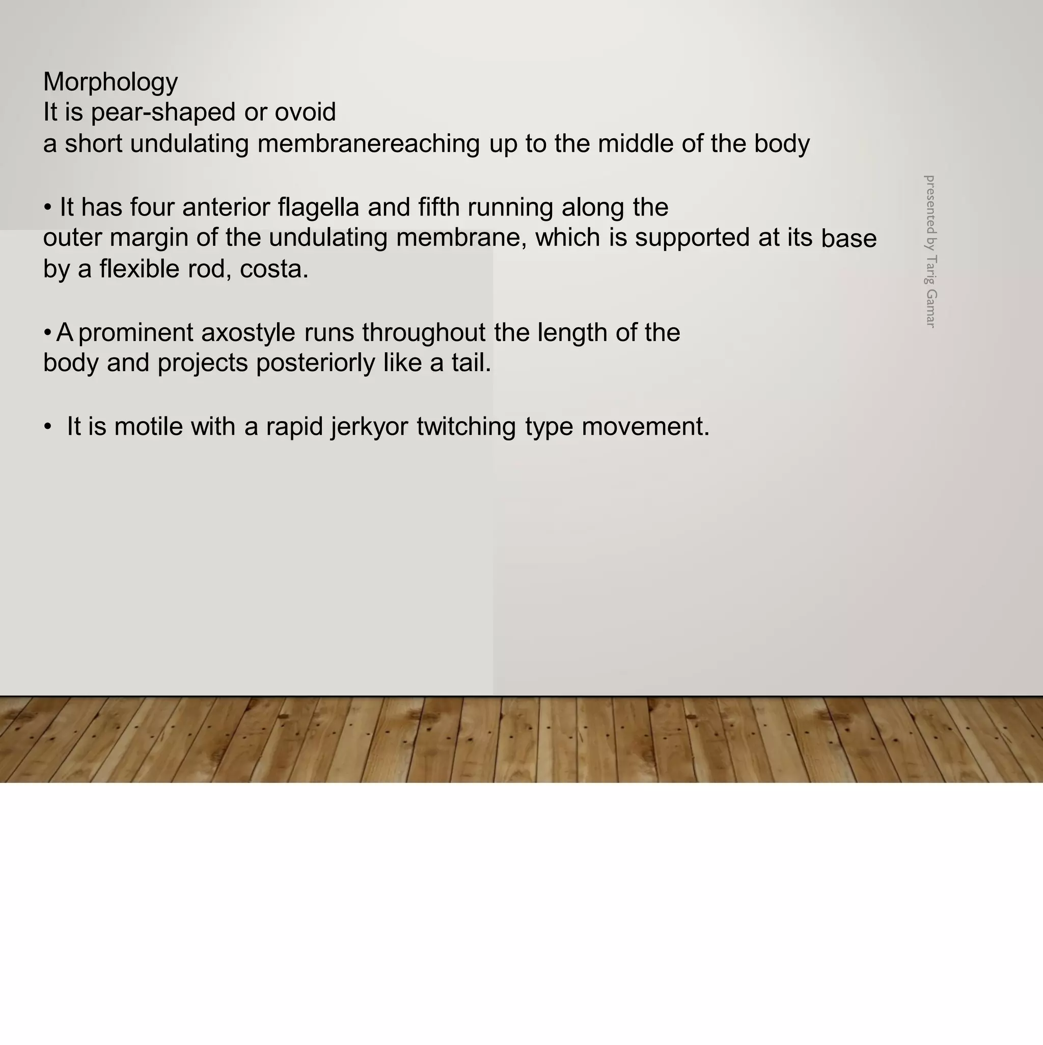 Trichomonas vaginalis | PDF