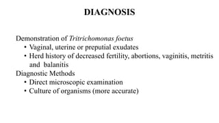 trichomoniasis disease in animal veterinary .pptx