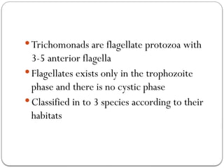 TRICHOMONIASIS.pptx/TRICHOMONIASIS.pptx h | PPT