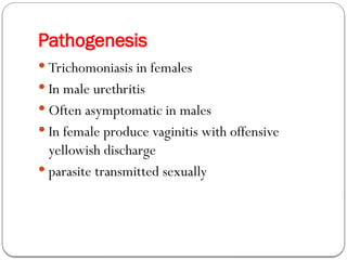 TRICHOMONIASIS.pptx/TRICHOMONIASIS.pptx h | PPTX
