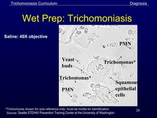 Trichomoniasis by jagdish ola | PPT