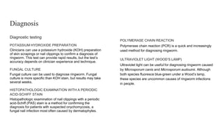 Trichophytia Dermatophytosis. Onerbek Almaz.pptx