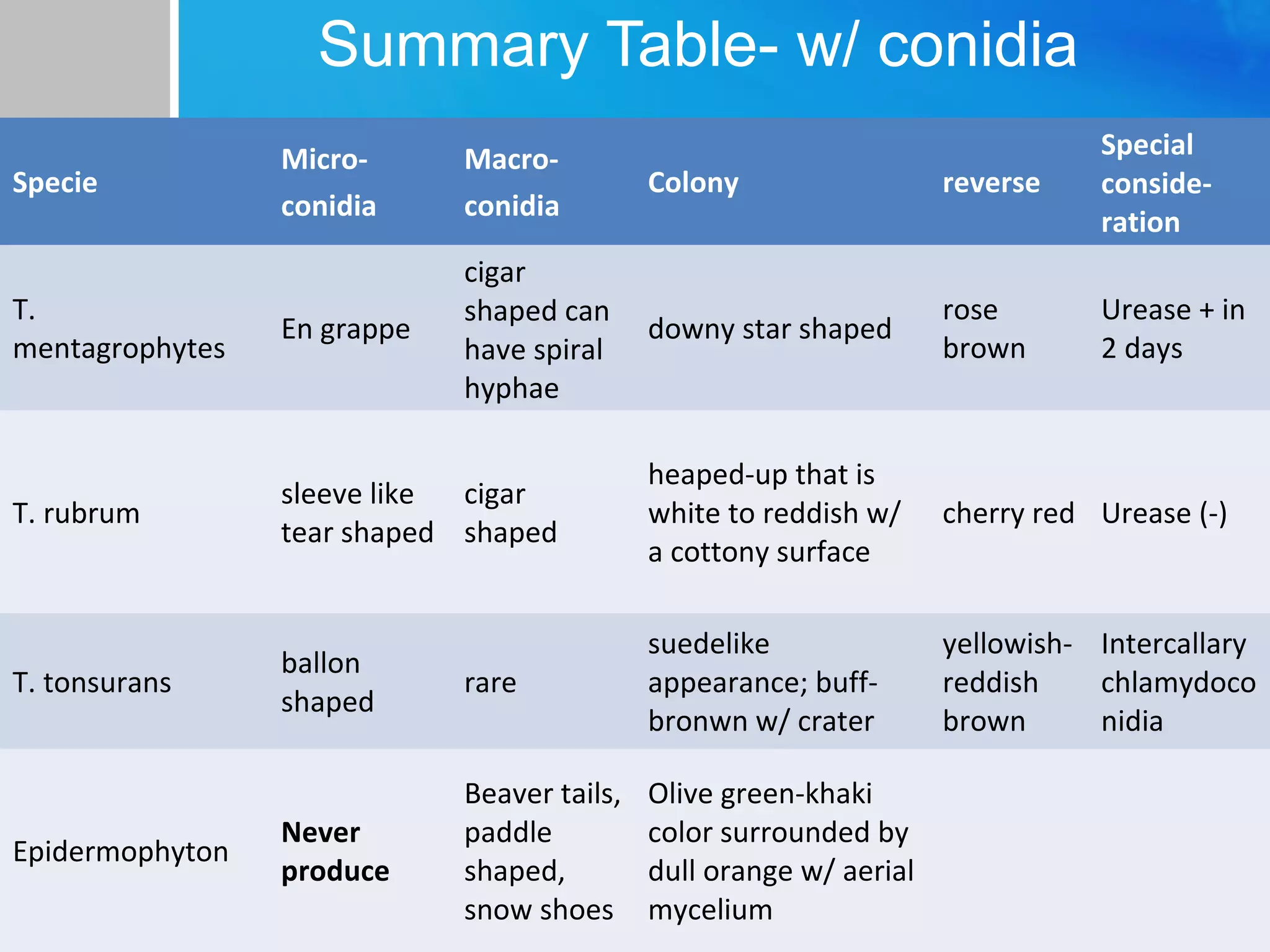 Trichophyton and Epidermophyton | PPT