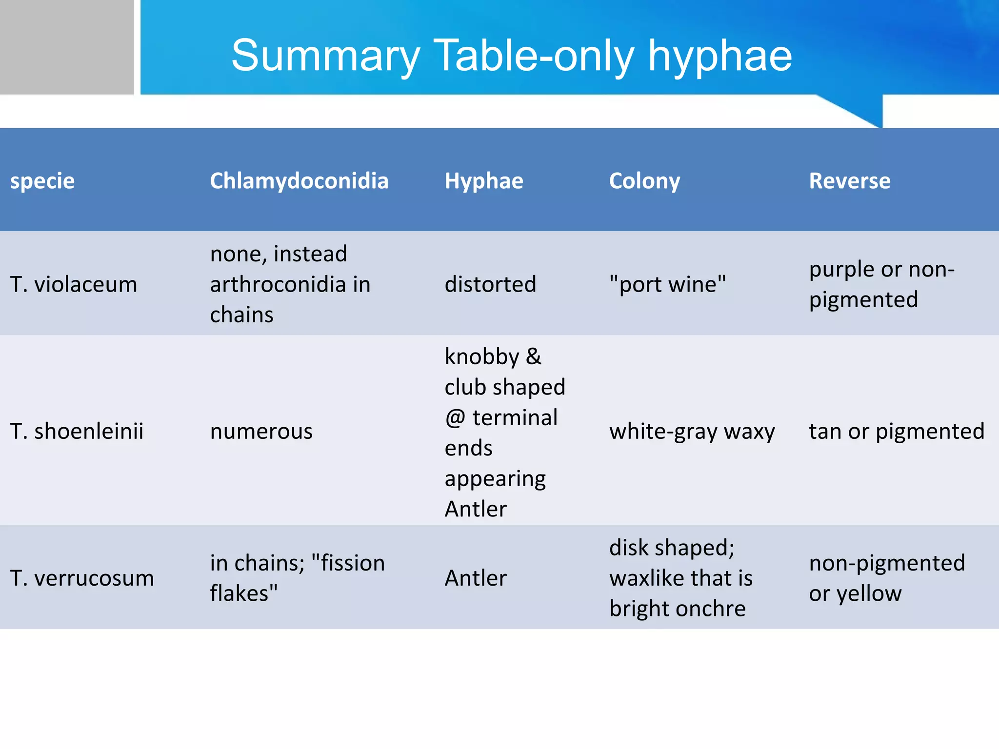 Trichophyton and Epidermophyton | PPT