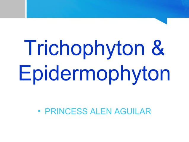 Trichophyton and Epidermophyton | PPT | Skin and Dermatology | Diseases ...