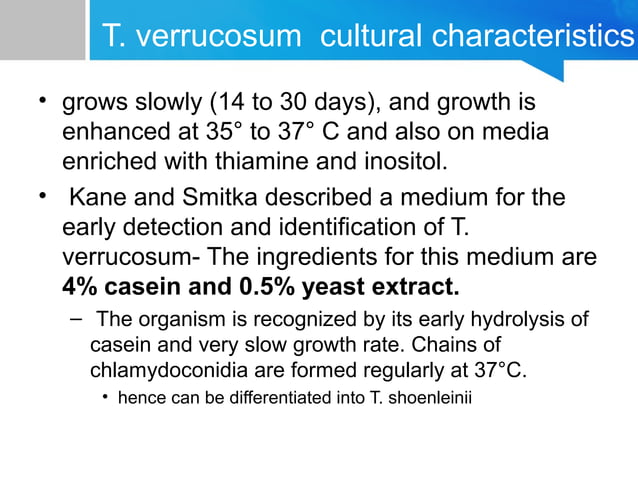 Trichophyton and Epidermophyton | PPT | Skin and Dermatology | Diseases ...