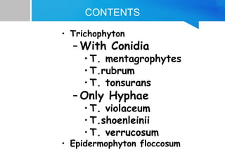 Trichophyton and Epidermophyton | PPT